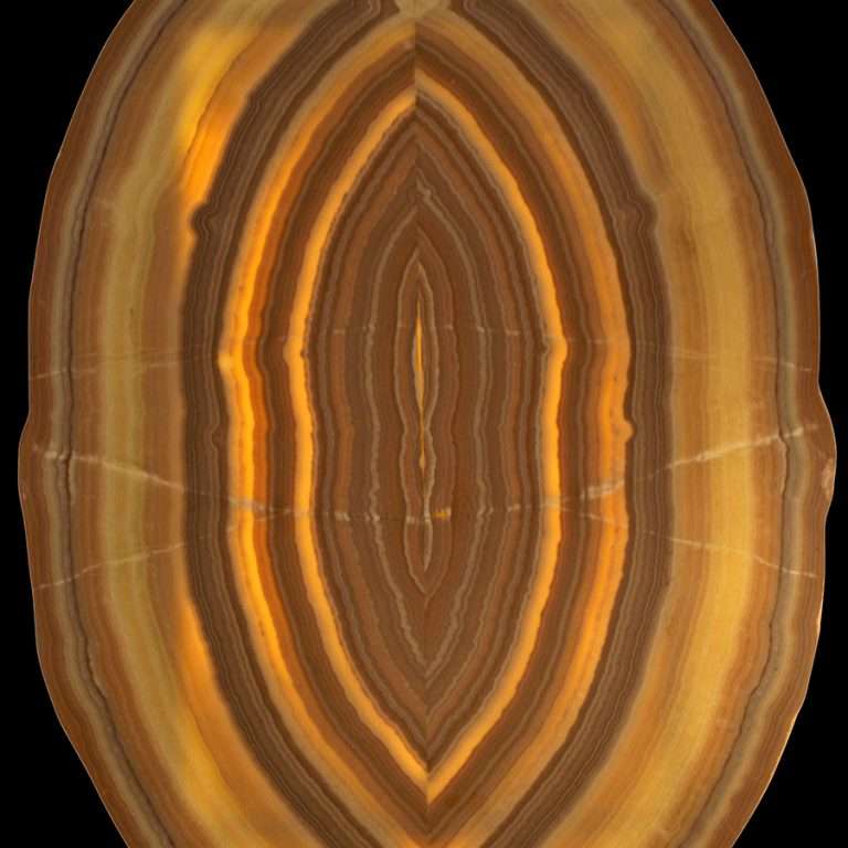 Onyx Fish Wall Display / Onyx Wall Art Display – Diva