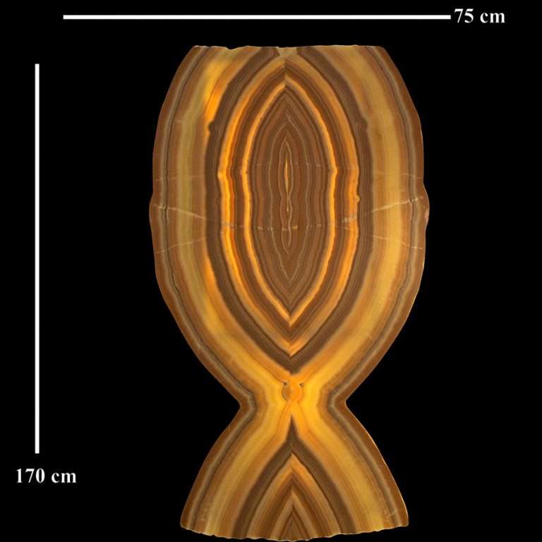 Onyx Fish Wall Display / Onyx Wall Art Display – Diva