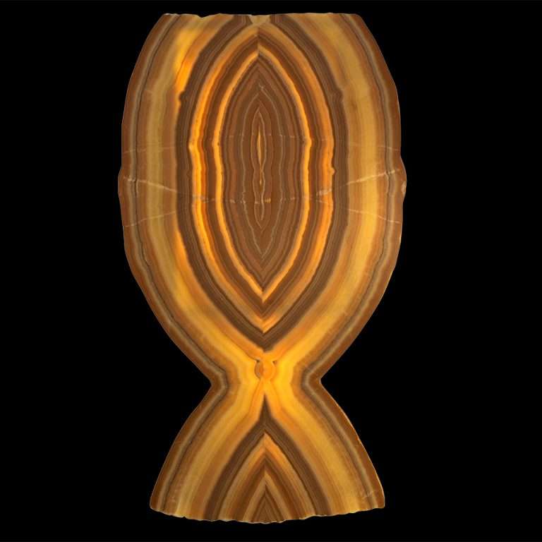 Onyx Fish Wall Display / Onyx Wall Art Display – Diva