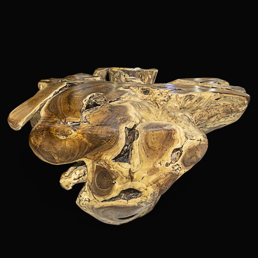 Solid Teak Root Coffee Table, Center Table, Sofa Table – Diva