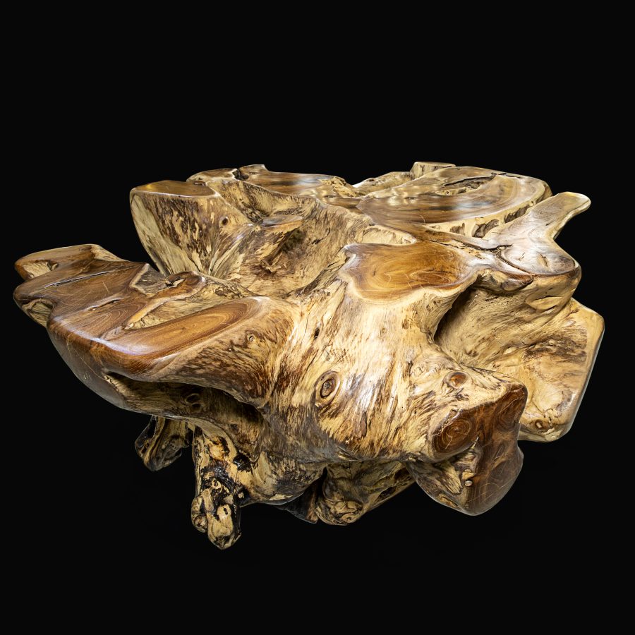 Solid Teak Root Coffee Table, Center Table, Sofa Table – Diva