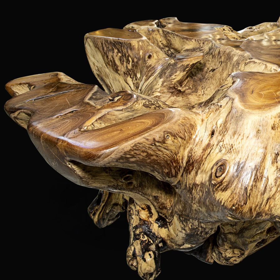 Solid Teak Root Coffee Table, Center Table, Sofa Table – Diva