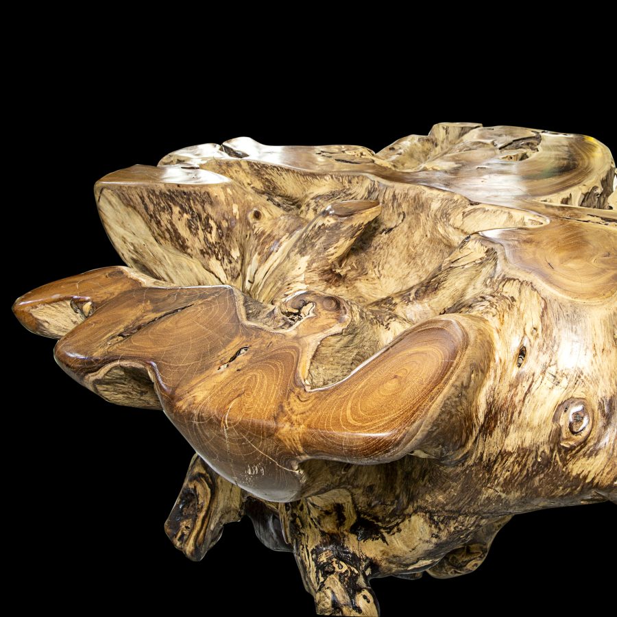 Solid Teak Root Coffee Table, Center Table, Sofa Table – Diva