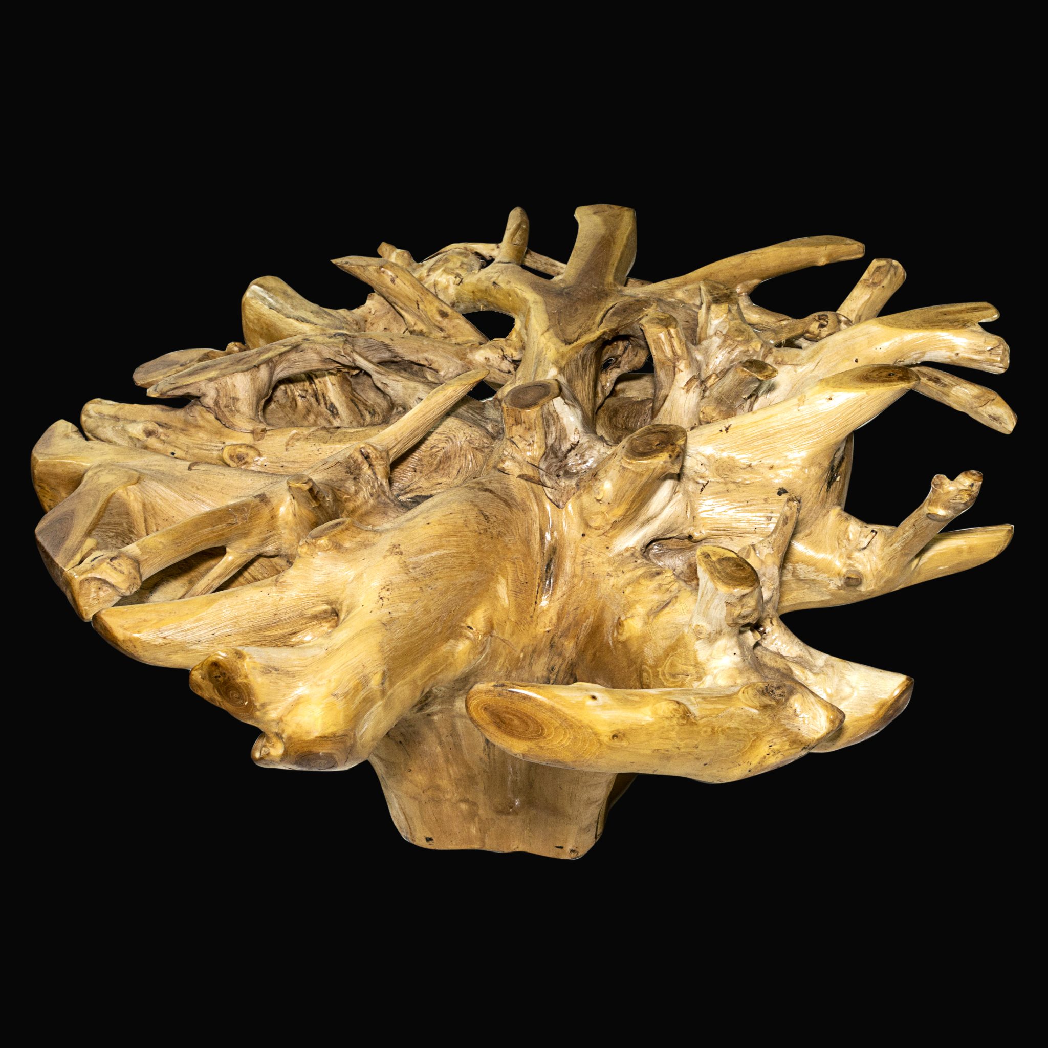 Solid Teak Root Coffee Table, Center Table, Sofa Table – Diva