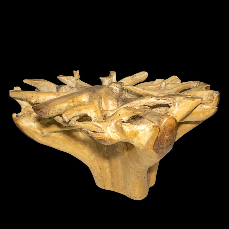 Solid Teak Root Coffee Table, Center Table, Sofa Table – Diva
