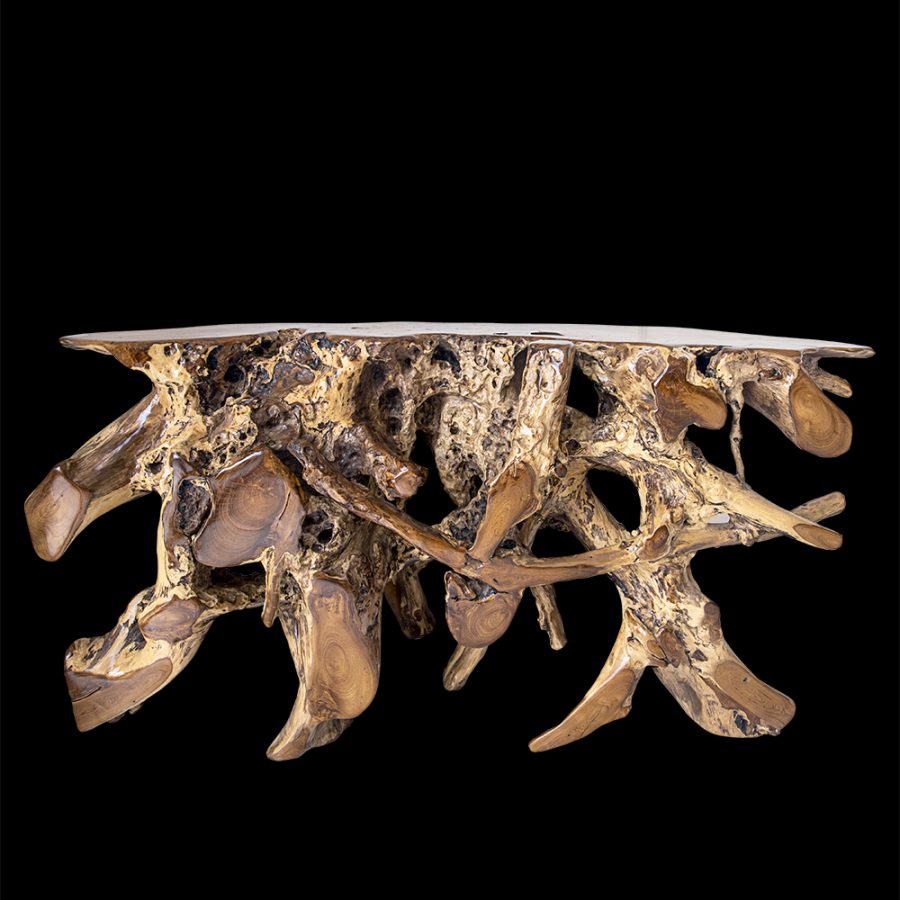 Teak Root Console Table, Organic Teak Root Timeless Console Table – Diva